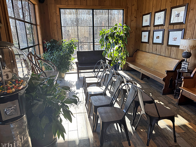 Sunlight streams through windows in this plant-filled waiting area, where the anticipation of catfish becomes part of the experience itself.