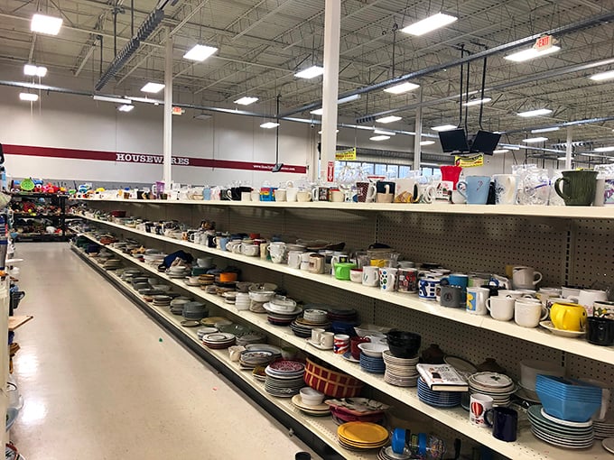 Mugs and plates await adoption, each with a story to tell and a future dinner party to attend.