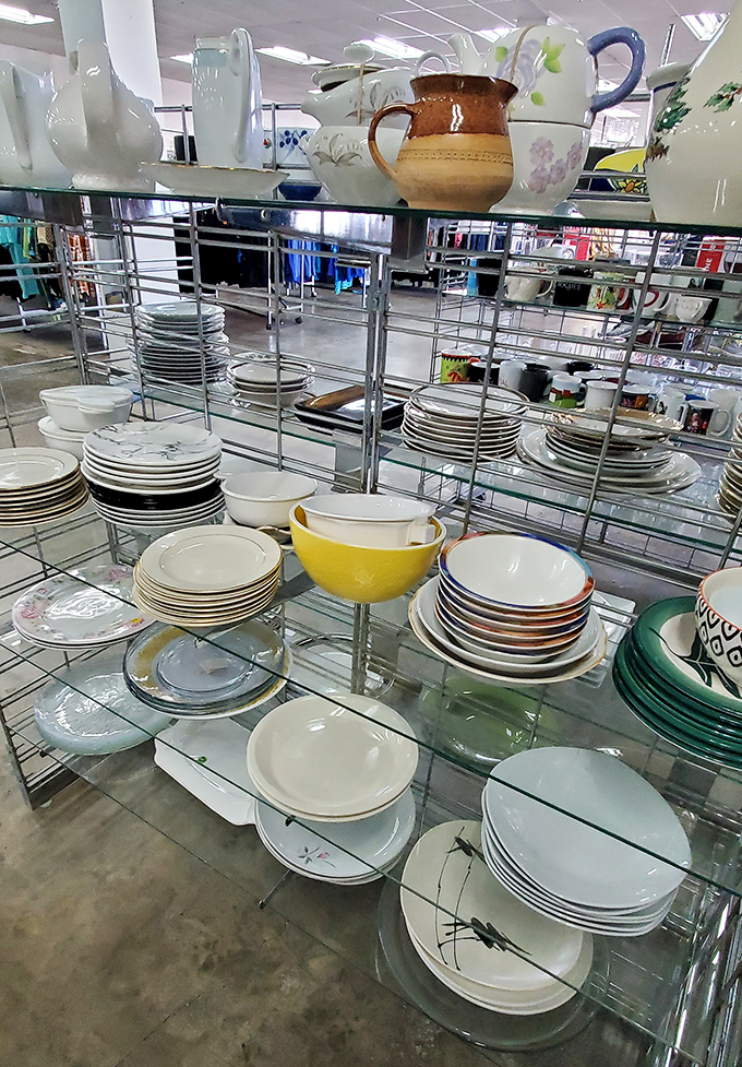 Dish-covery zone! From everyday plates to vintage china, these shelves hold the missing pieces to complete your eclectic tableware collection.