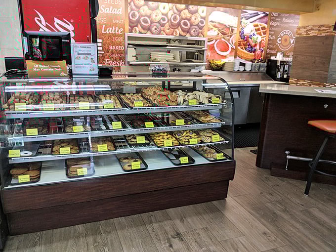 The display case &ndash; a treasure chest of carbs where bagels and pastries wait patiently for their moment of glory.
