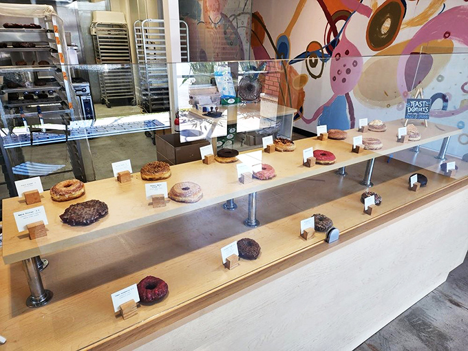 The display case at Oliboli – where donuts are arranged like fine jewelry, each one a handcrafted treasure waiting to be claimed.