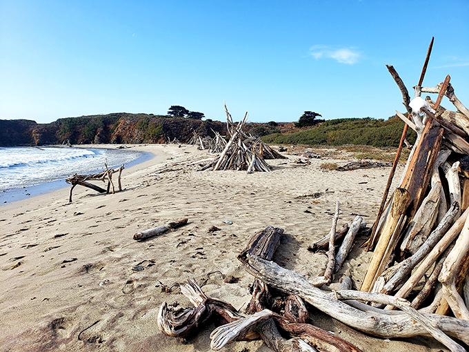 Nature's architectural digest&mdash;driftwood sculptures crafted by the patient partnership of ocean currents and time.