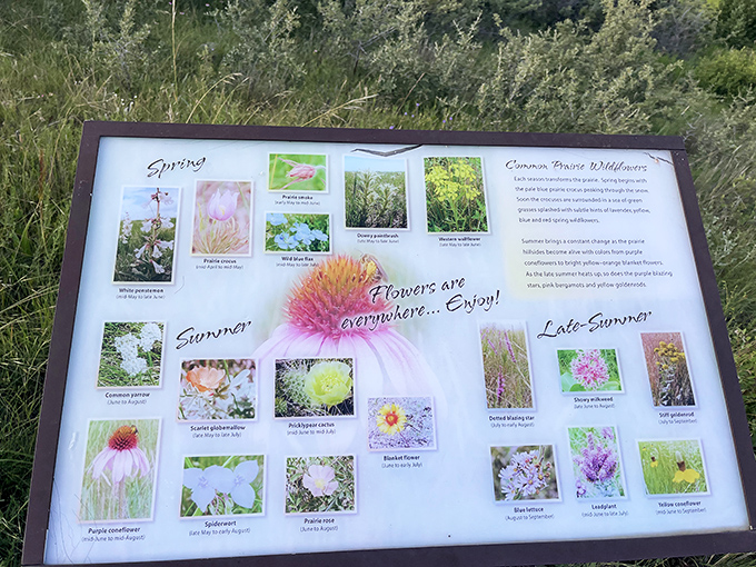 Mother Nature's seasonal menu board showcases prairie wildflowers. The original farm-to-field experience blooms right before your eyes.