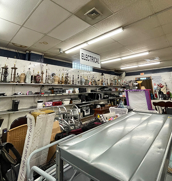 The electrical section: where vintage lamps, forgotten appliances, and mysterious gadgets await adoption by the curious and the handy alike.