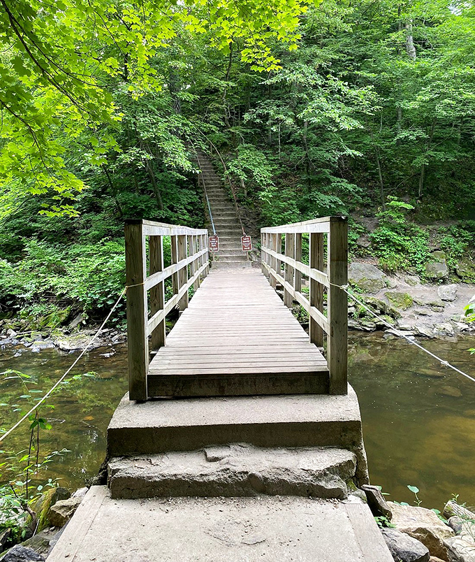 This sturdy bridge invites visitors to cross into adventure, with stairs climbing toward forest mysteries beyond.