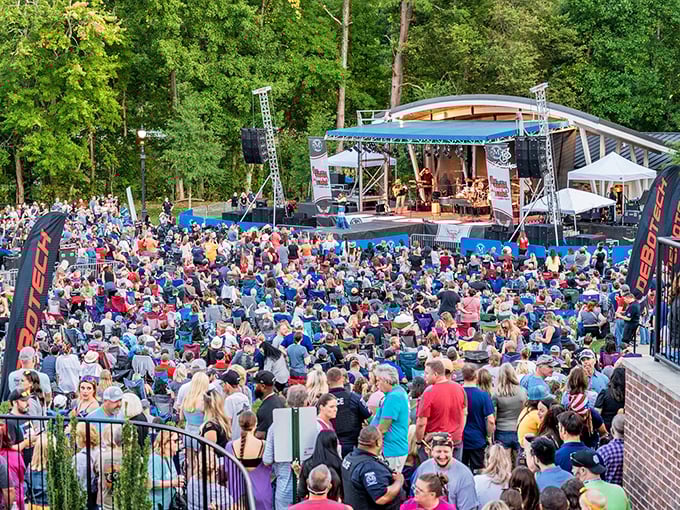 Summer concerts bring the community together, proving that lawn chairs and live music are the universal language of "this beats watching reruns."