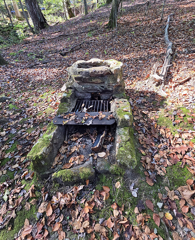 Stone fireplace standing stoic among autumn leaves &ndash; a relic from simpler times when s'mores were the height of wilderness luxury.
