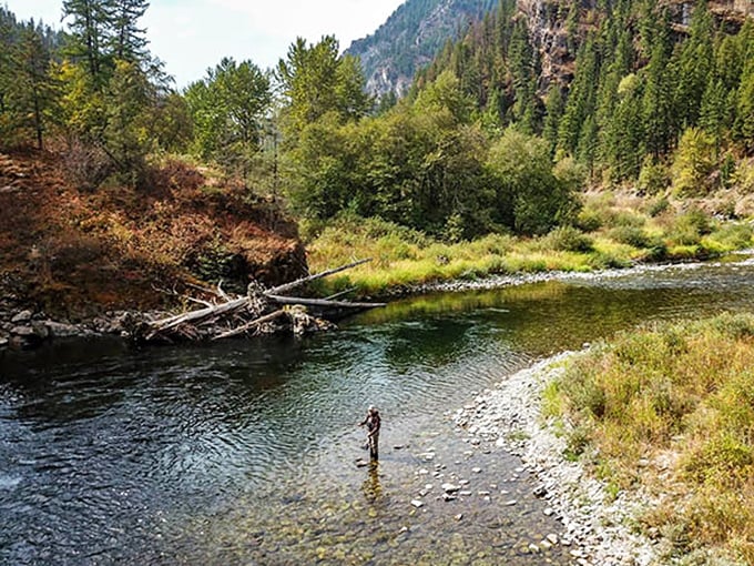 The timeless dance between angler and river plays out in golden afternoon light &ndash; fishing isn't just a sport, it's performance art.