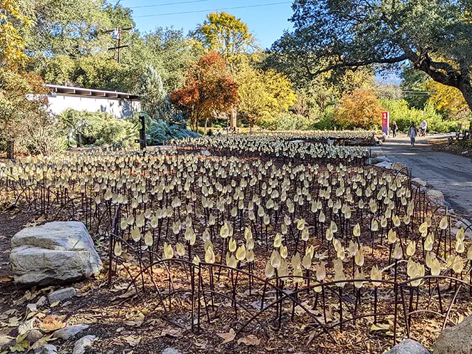 Art installations pop up throughout the grounds, adding unexpected splashes of creativity to an already stunning natural canvas.