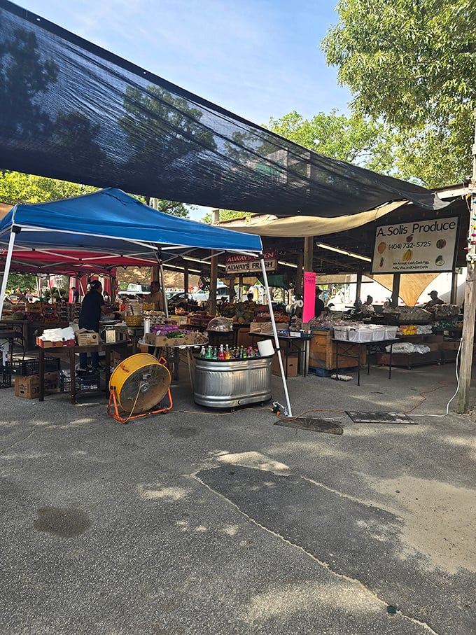 Fresh produce displayed with no-nonsense practicality. When farmers are the middlemen, those savings aren't just talk&mdash;they're deliciously real in every bite.