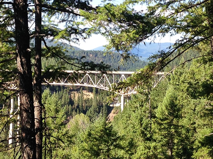 The falls split into twin cascades before reuniting in the emerald pool below, like old friends embracing after a brief separation.