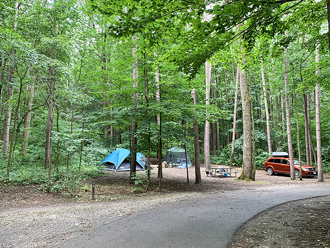 Pristine campsite tucked among towering trees. Your temporary address in the wilderness comes with million-star night sky views.