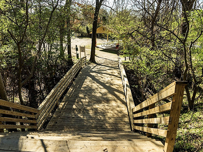 Windsor Castle Park's wooden walkways invite exploration through natural splendor. Nature's version of a red carpet, minus the paparazzi and awkward interviews.