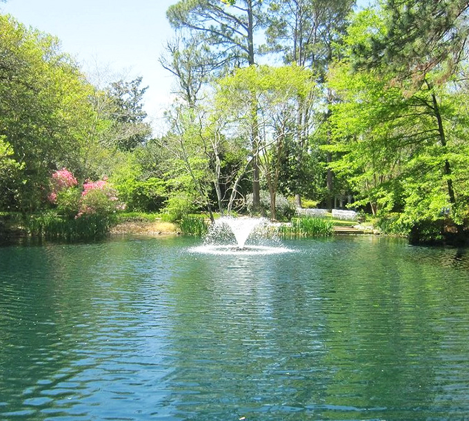 A fountain creates ripples across the pond's surface, nature's version of surround sound. Water features: the original meditation app.