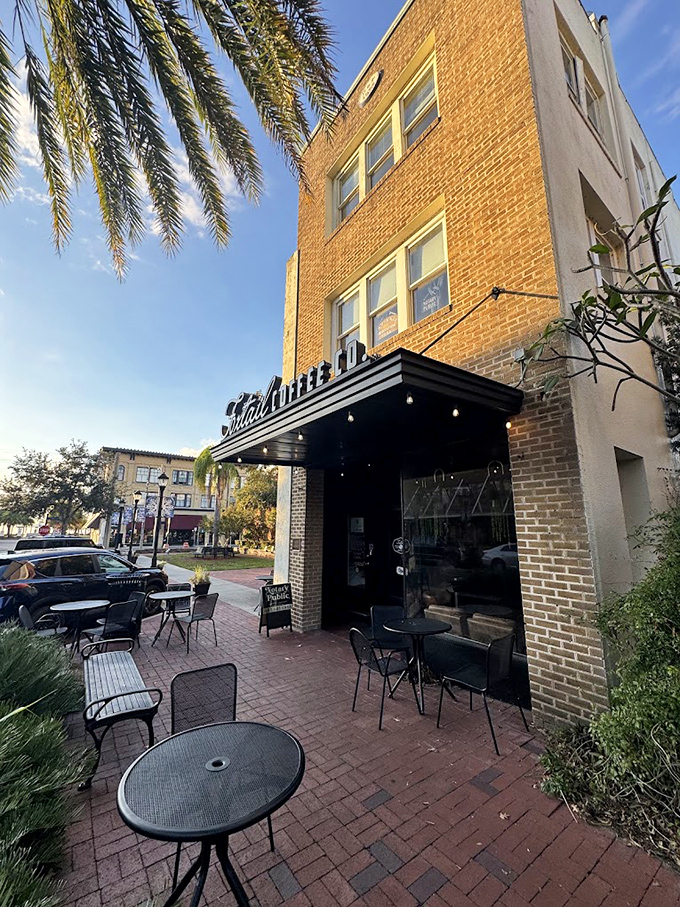 Foxtail Coffee's downtown location offers the perfect perch for people-watching, where every sip comes with a side of small-town theater playing out on brick streets. 