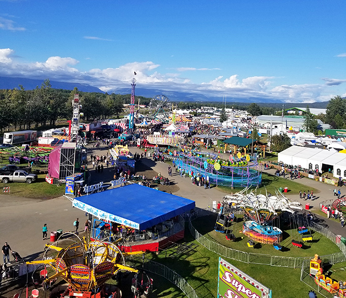 Palmer's equestrian facilities prove that horses appreciate mountain views just as much as humans do, probably more actually.