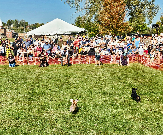 Community gatherings in Galena prove small-town entertainment doesn't require corporate sponsorship or overpriced admission tickets.