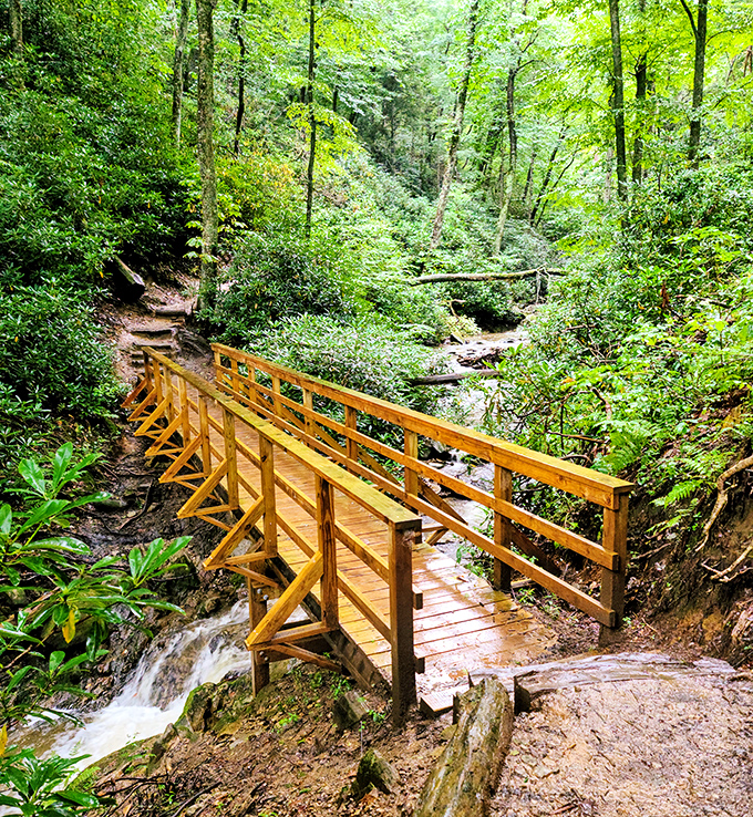 This wooden footbridge over rushing water is practically begging you to stop, breathe deeply, and post something philosophical on Instagram.