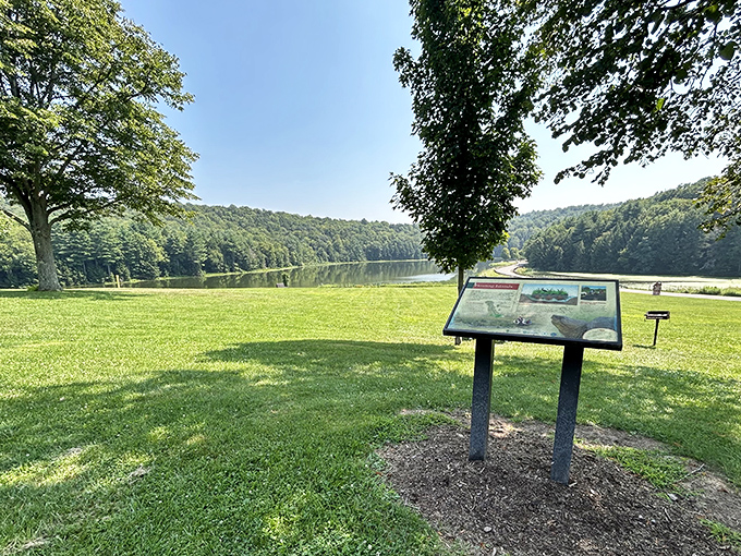 Educational signage with a view that makes learning feel less like homework and more like a happy accident.