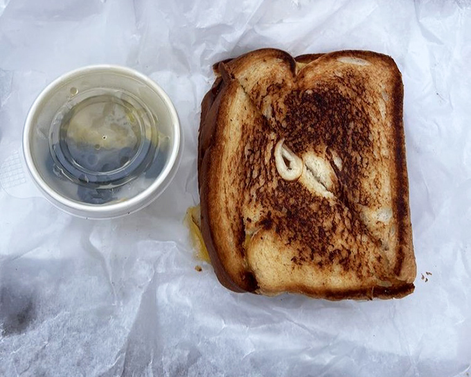 That grilled cheese sandwich proves melted cheese between toasted bread remains one of humanity's greatest achievements.