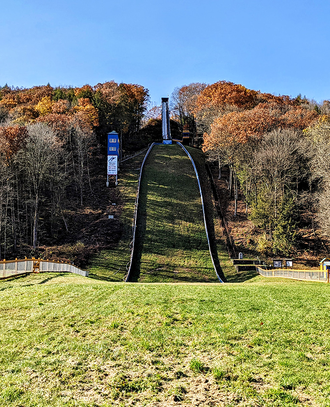 The Harris Hill Ski Jump stands as a monument to winter courage, where gravity and human determination negotiate thrilling compromises.
