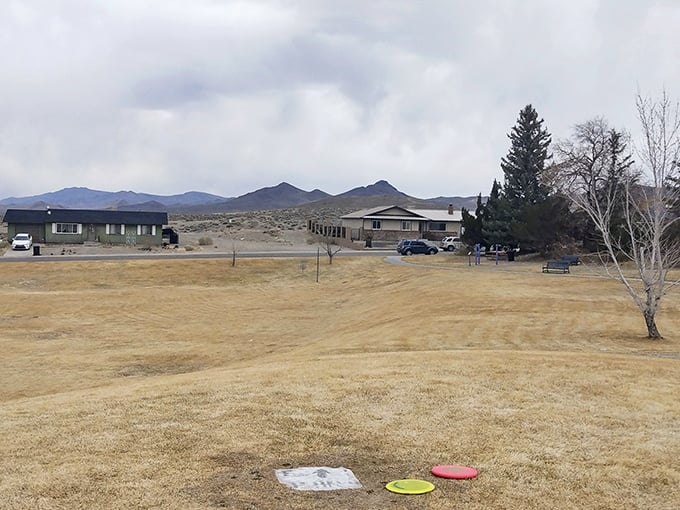 Modest homes with million-dollar views&mdash;in Tonopah, your retirement dollars stretch as far as the desert horizon.