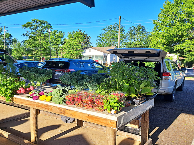 Farm-fresh doesn't get fresher than the Hitching Lot Farmer's Market, where strawberries still warm from the morning sun await your breakfast table.