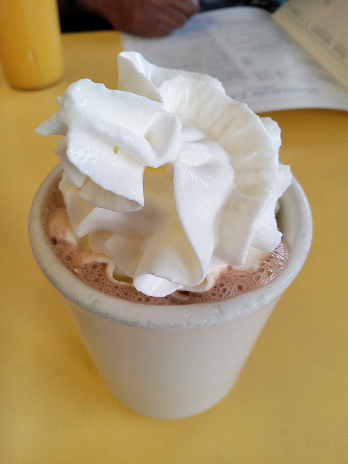 Hot chocolate crowned with a cloud of whipped cream&mdash;proof that sometimes the simplest pleasures are the most satisfying.