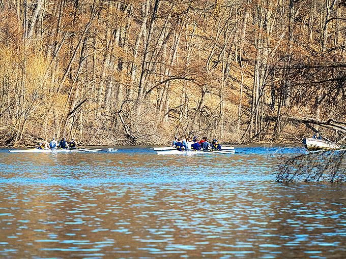 The Huron River provides the perfect backdrop for crew teams practicing their synchronized rowing ballet on water. 