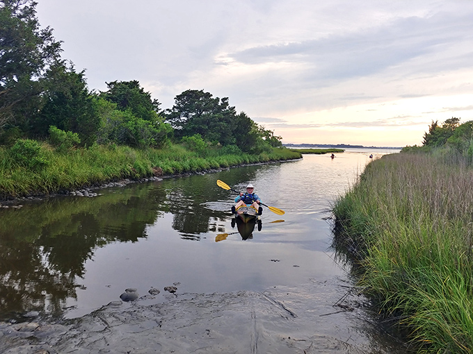 Peaceful paddling through calm bay waters where the biggest decision involves whether to turn left or right next.