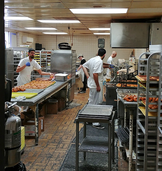 The kitchen at Bill's operates with the precision of a Swiss watch and the soul of a jazz band. Donut-making as performance art.
