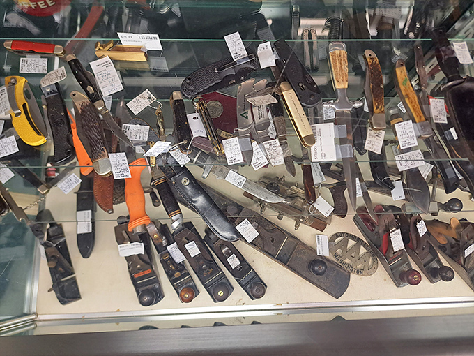 Tools with history etched into their handles. That collection of pocket knives has probably opened everything from letters to Christmas presents since 1950.