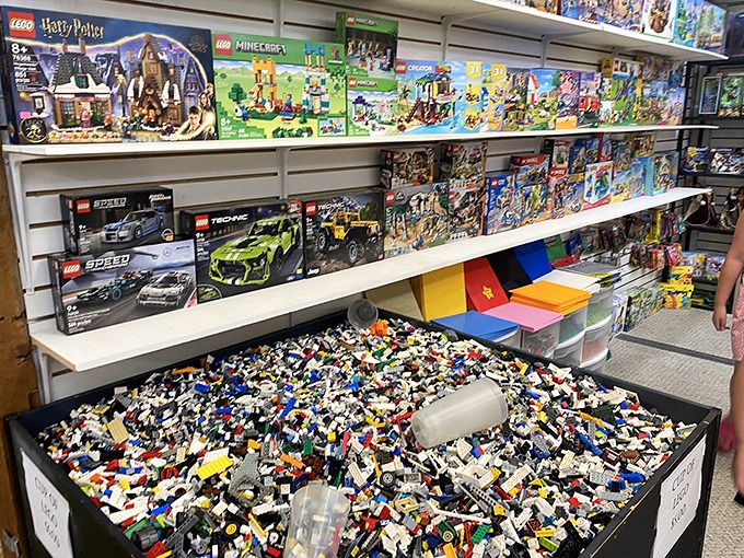 LEGO paradise where creativity flows by the bucketful. The organized chaos of loose bricks promises infinite possibilities for builders young and old.