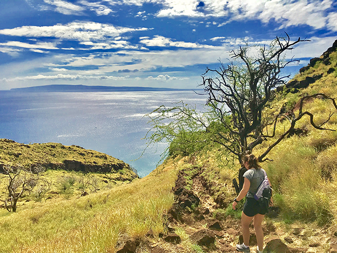 The Lahaina Pali Trail rewards hikers with panoramic ocean views that make every drop of sweat worthwhile. Effort and reward in perfect balance.
