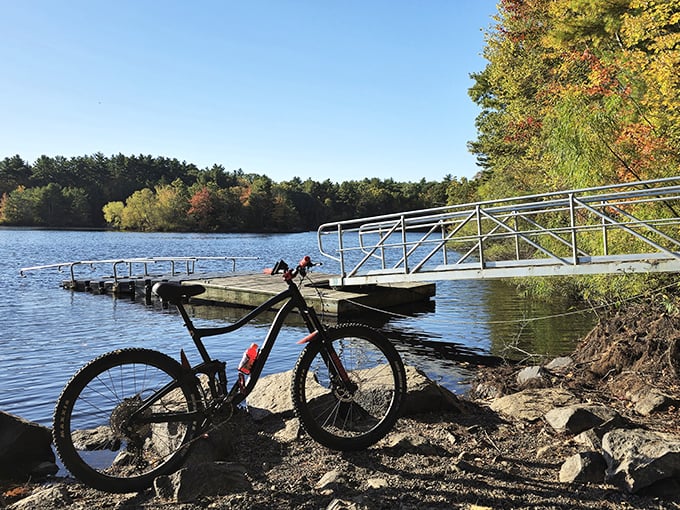 Fishing pier meets meditation spot&mdash;where patience gets rewarded with either dinner or inner peace.