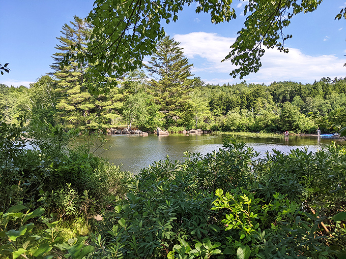 This serene pond reflects fall's golden splendor, nature's way of showing off before winter arrives for its extended Maine stay.