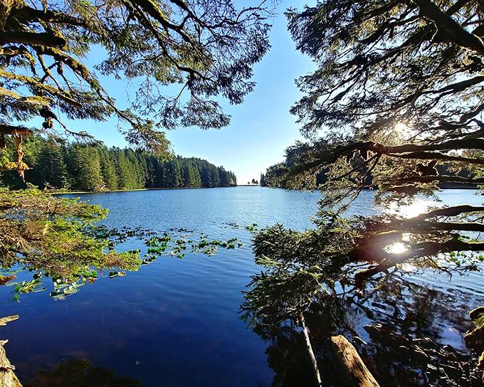 Reflections on perfection: Lake Gertrude mirrors the surrounding forest with such clarity you'll wonder which side is the real world.