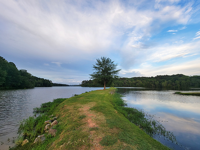 A solitary tree stands sentinel on this narrow peninsula &ndash; nature's version of the perfect meditation spot, no subscription required.