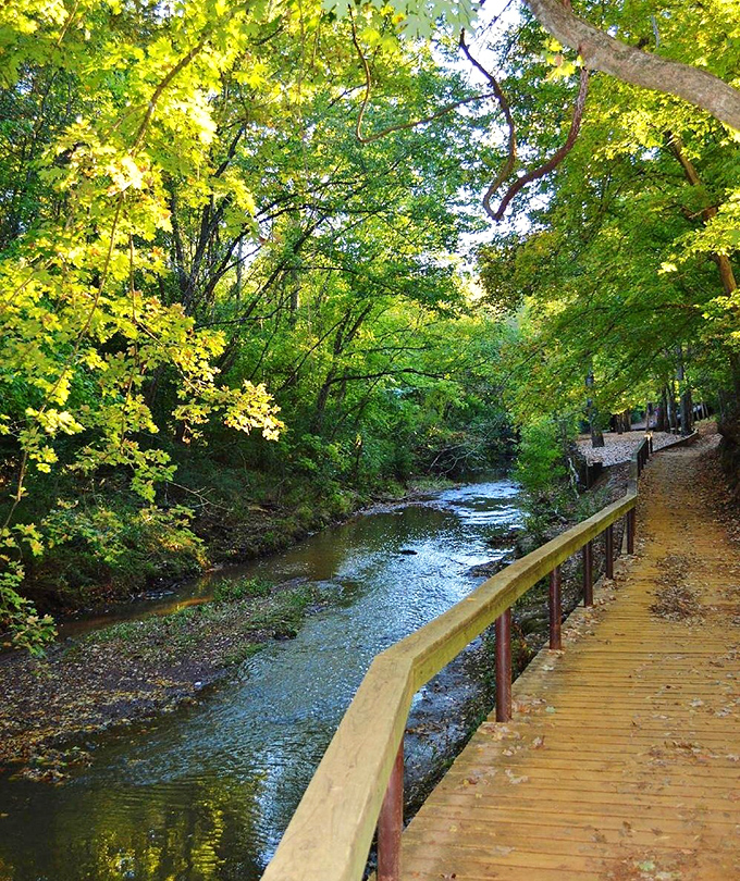 Lanana Creek Trail winds through dappled sunlight and leafy canopies, offering a peaceful wooden pathway alongside gentle flowing waters.