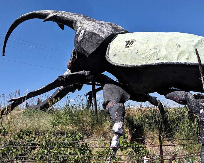 Under clear skies, Herkimer's weathered exterior tells tales of Colorado seasons &ndash; this bug has seen everything from blizzards to heat waves.
