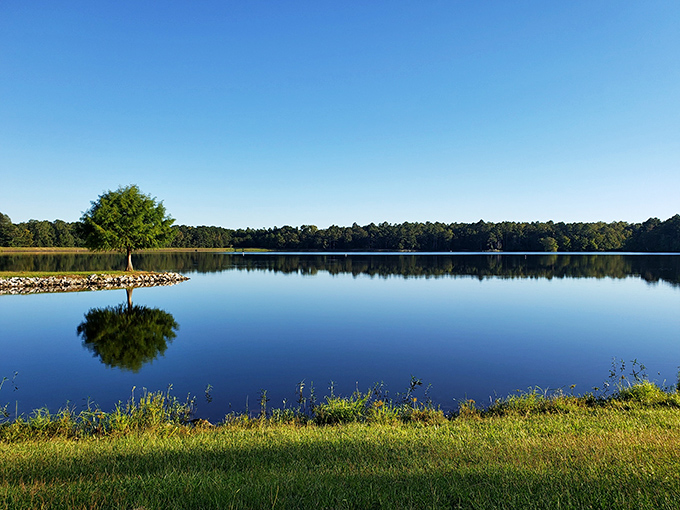 Mirror-like waters at Lee County Public Lake reflect both clouds and your wise decision to consider a place where fishing replaces rush hour.