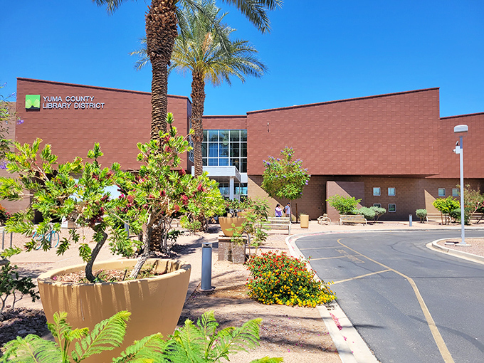 The Yuma County Library isn't just about books&mdash;it's an air-conditioned sanctuary of knowledge with desert-adapted landscaping that says "water-wise."