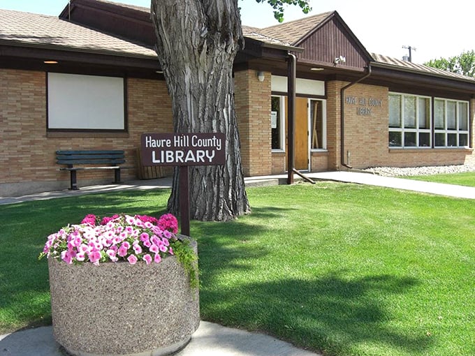 The Havre-Hill County Library serves as both knowledge keeper and community living room &ndash; where ideas and neighbors regularly intersect.