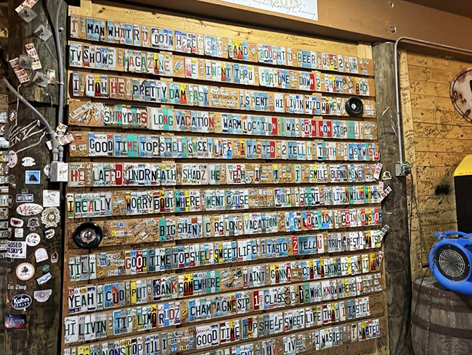 A wall of license plates forms a poetic roadmap of visitors' journeys, each metal rectangle representing someone who found their way to this coastal sanctuary.