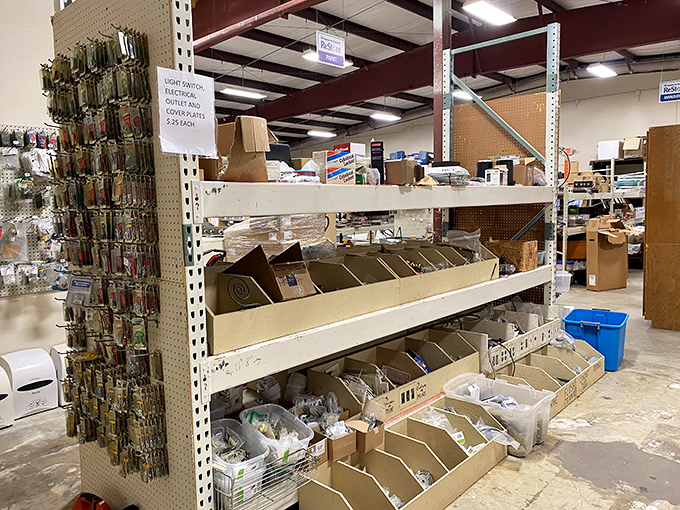 Hardware heaven for the detail-oriented renovator. These electrical bits and bobs are the unsung heroes of home improvement projects.