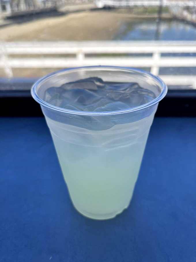 Fresh-squeezed lemonade with harbor views—sometimes the simplest pleasures are what vacation memories are made of.