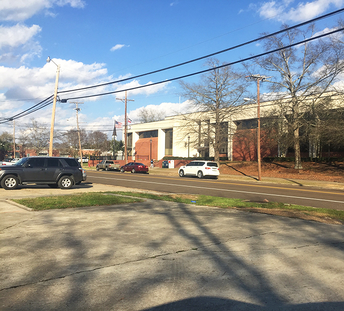 Brookhaven balances historic charm with modern necessities. Even municipal buildings maintain that distinctive Southern architectural dignity.