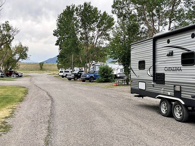 Livingston's campgrounds offer affordable overnight options where your RV neighbors might include elk, deer, and spectacular mountain views.