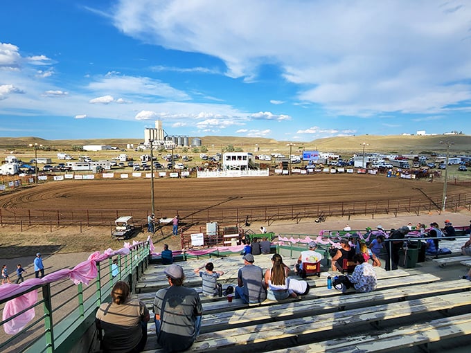 Rodeo day at the Marias Fair brings the community together in a celebration of skill, courage, and the agricultural heritage that built this town.