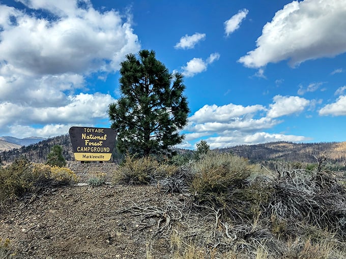 The Toiyabe National Forest campground sign promises adventure without the crowds—where stars actually outnumber people and silence is the premium amenity.